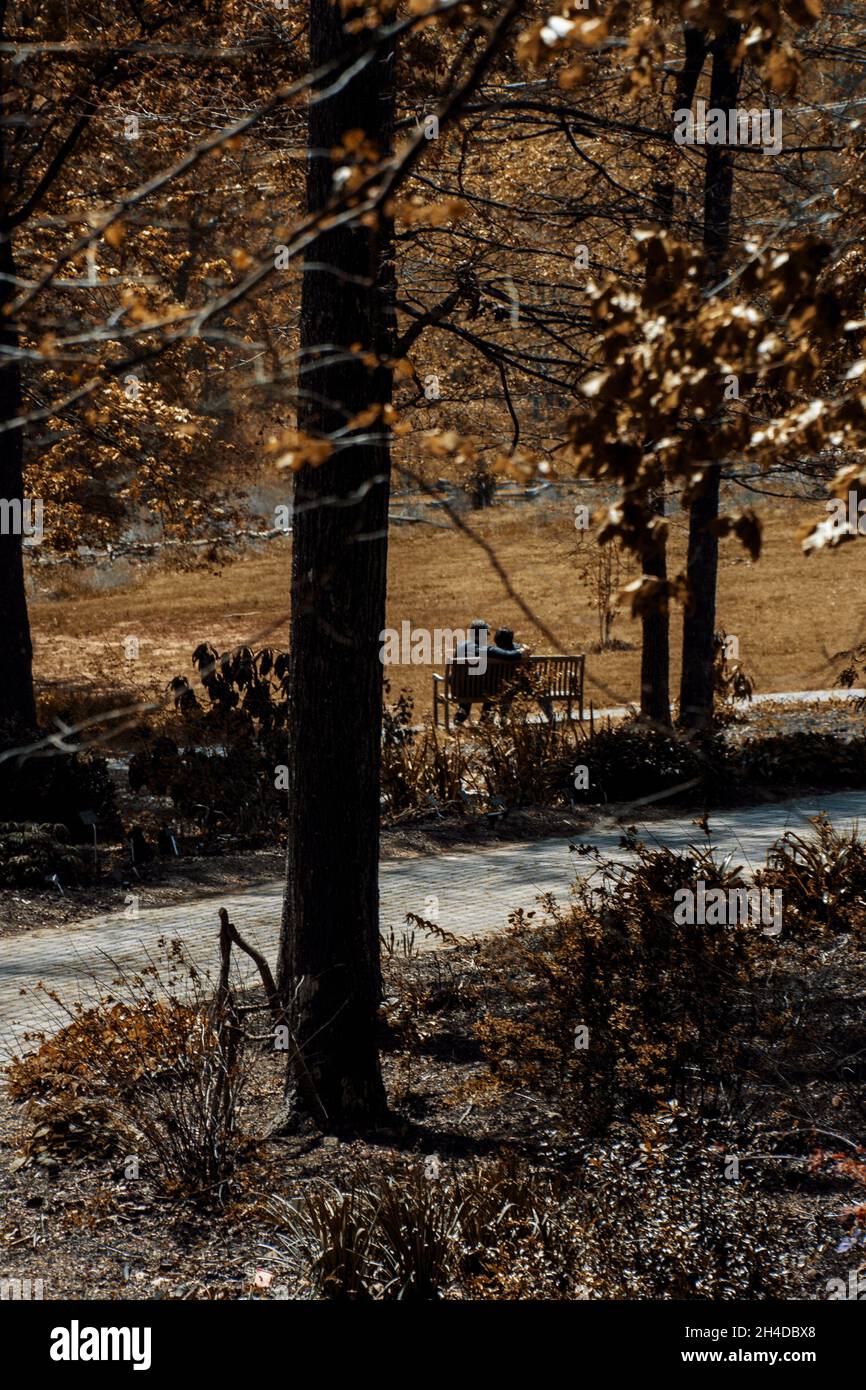 , UNITED STATES - Jan 01, 1970: A vertical shot of a road surrounded by ...