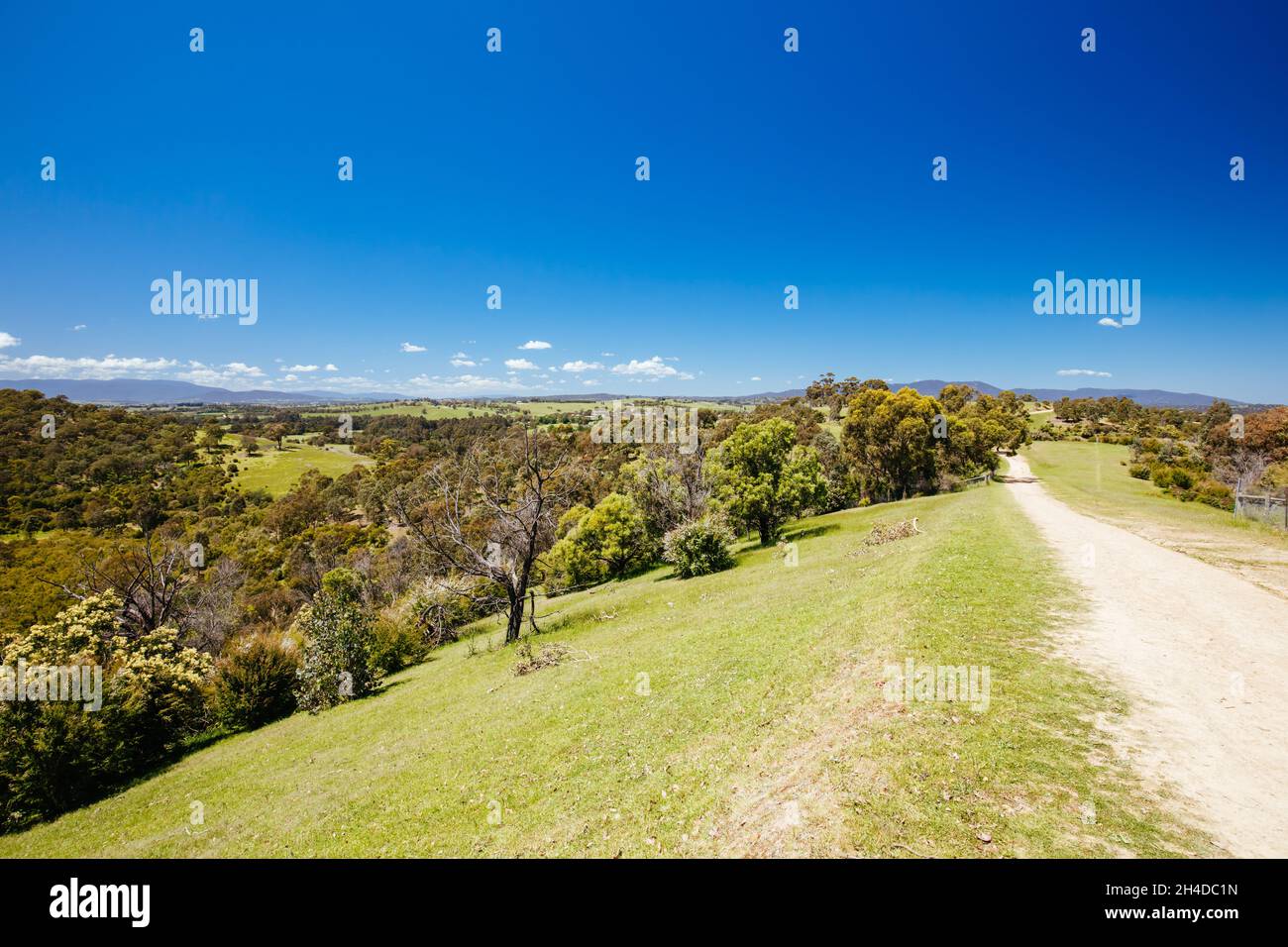 Mount Lofty Circuit Walk in Melbourne Australia Stock Photo - Alamy