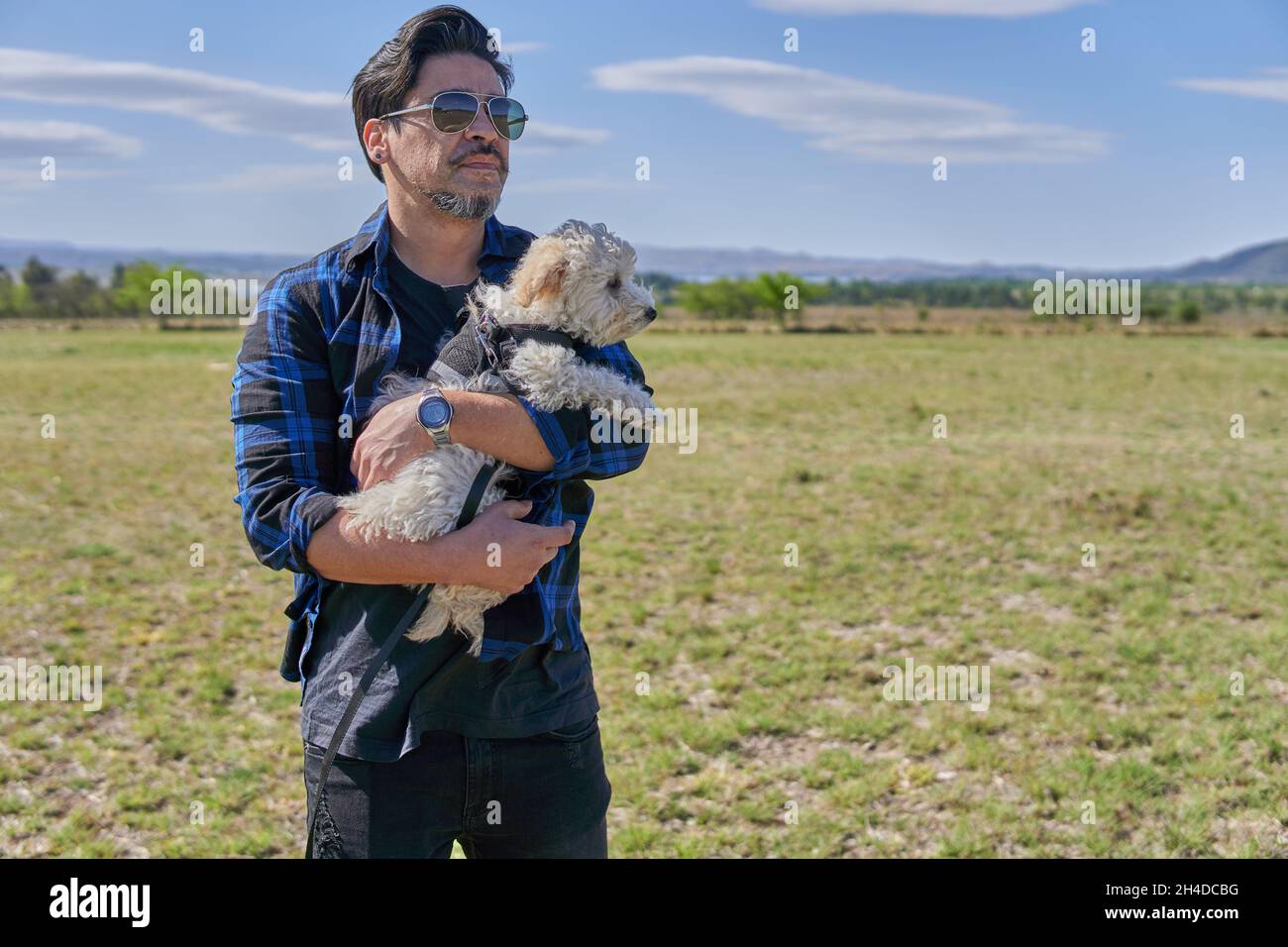 Poodle wearing sunglasses hi-res stock photography and images - Alamy