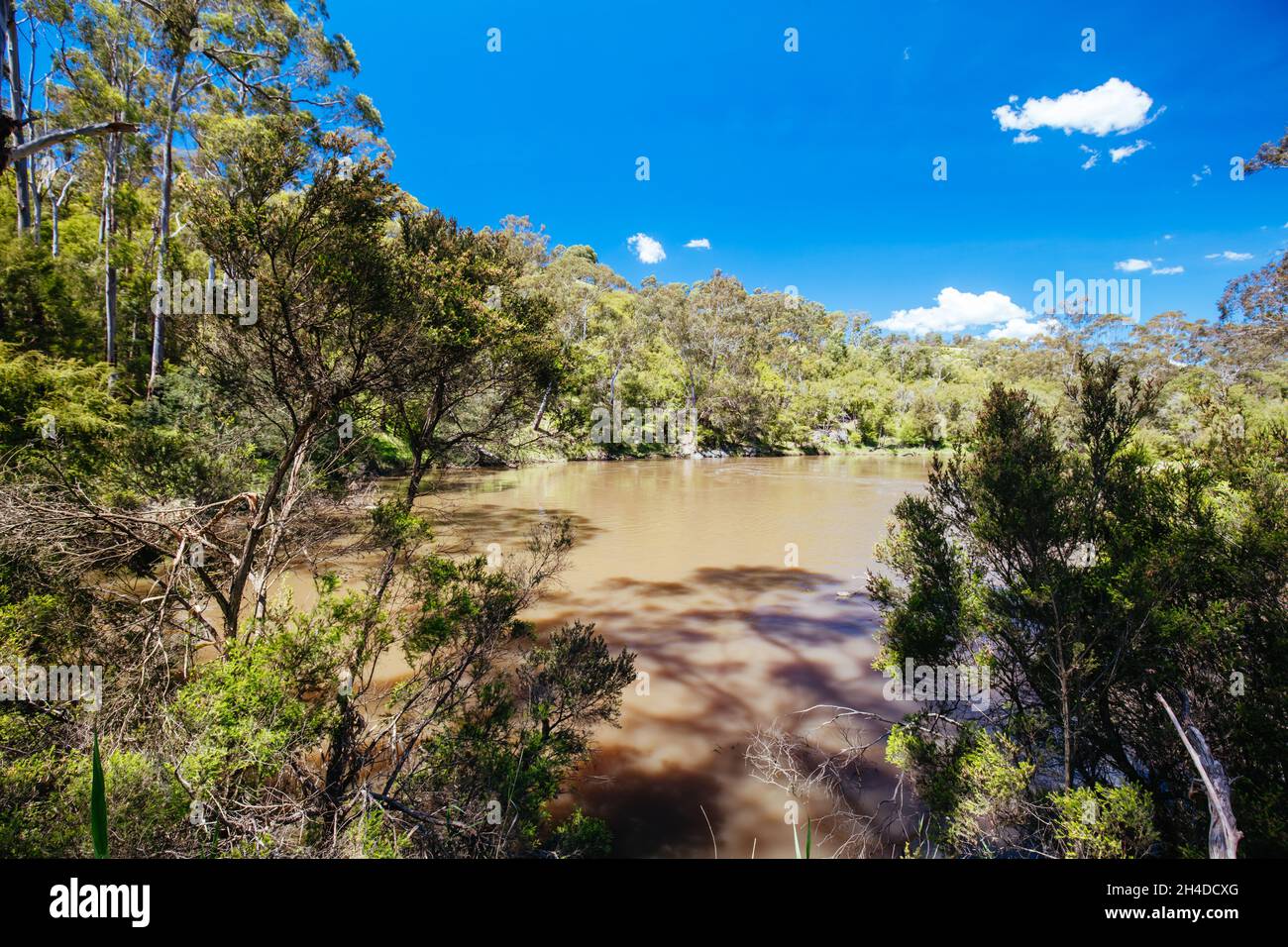 Mount Lofty Circuit Walk in Melbourne Australia Stock Photo - Alamy