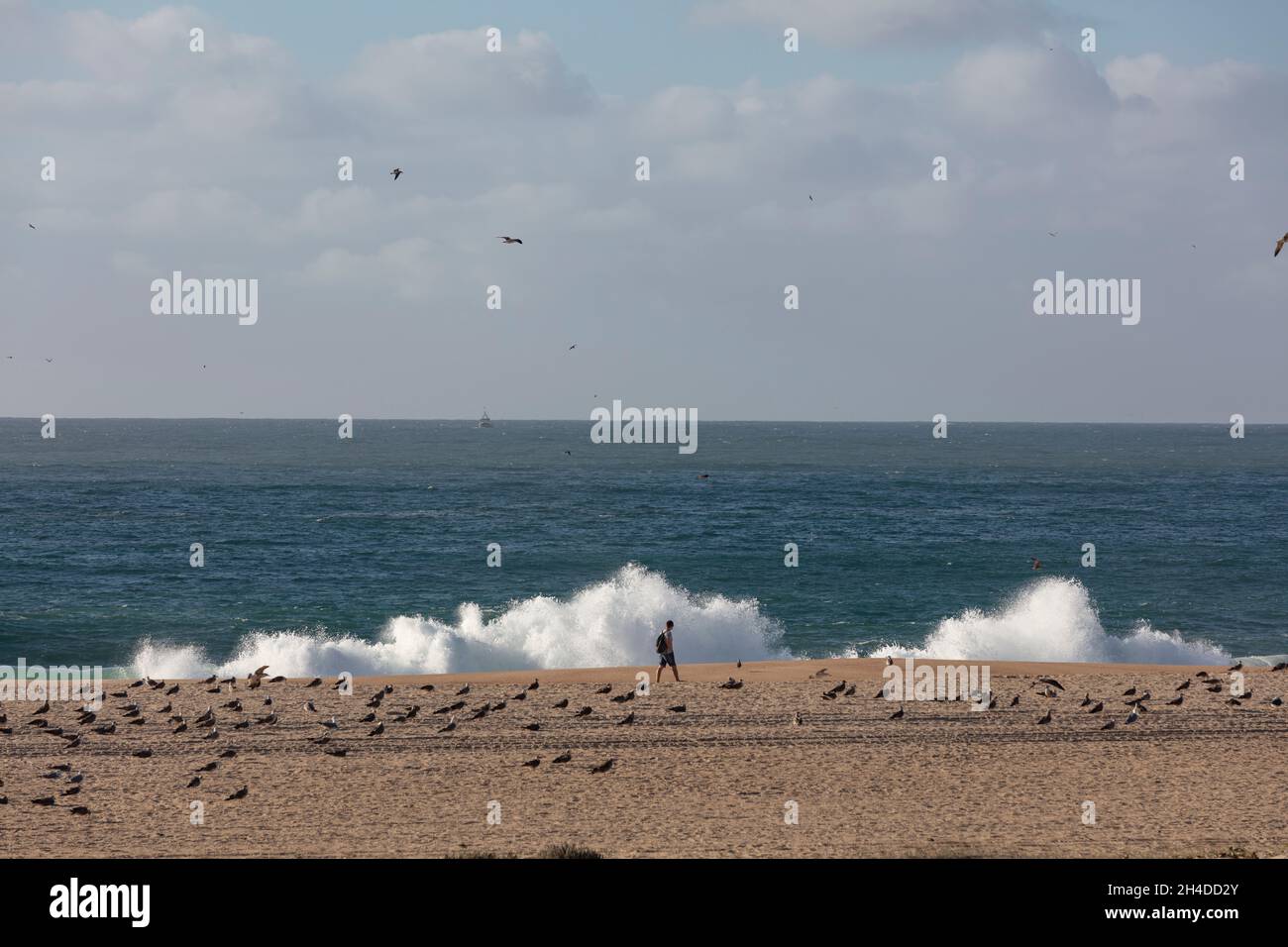 Der Strand von Nazare, Praia da Nazare Stock Photo - Alamy