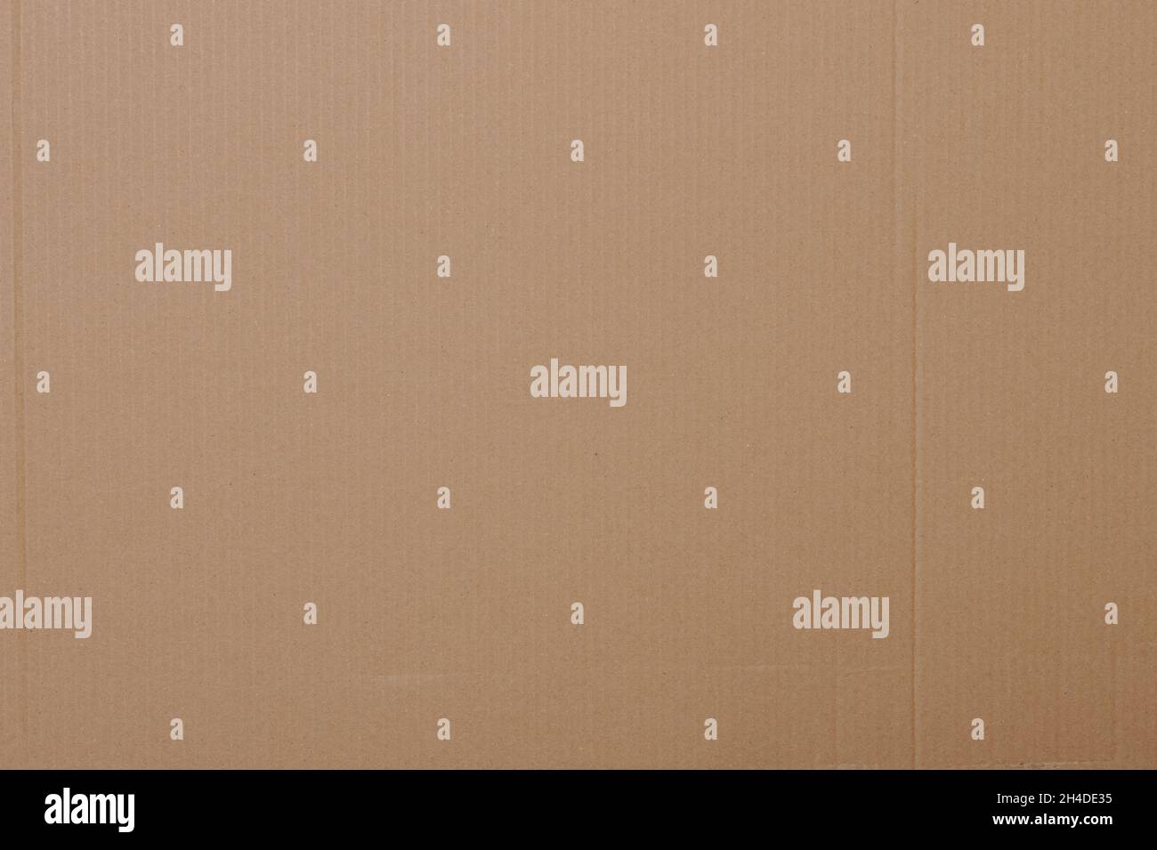 Blank carton paper sheet macro close up view Stock Photo - Alamy