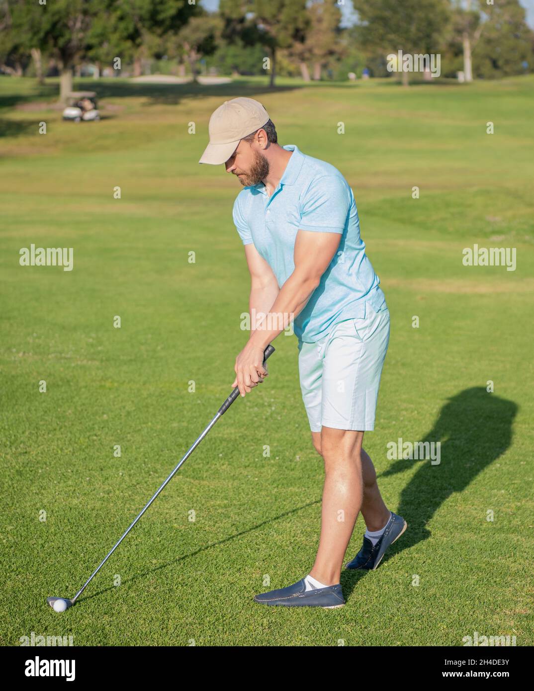 adult male golf player on professional course with green grass, golf ...