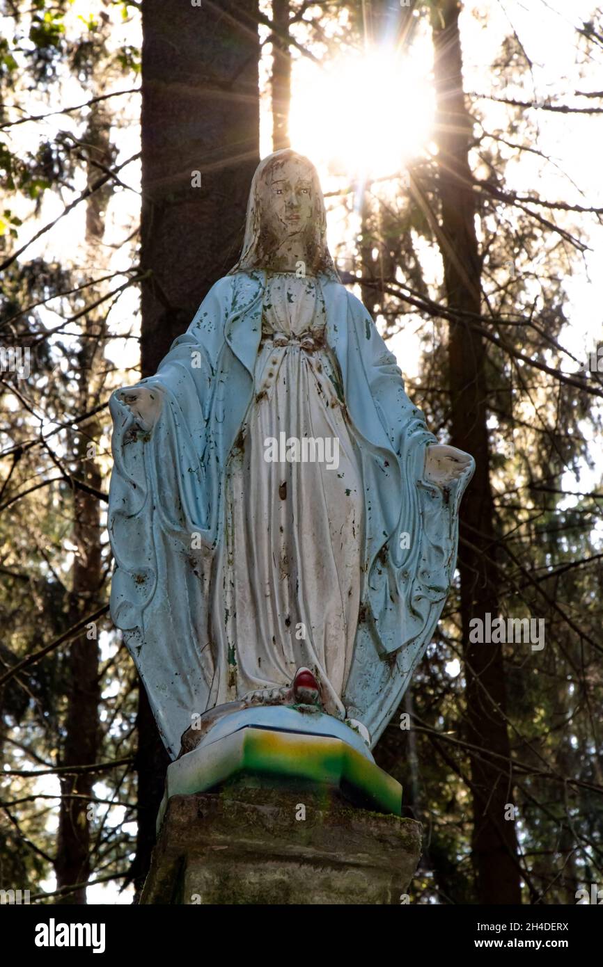 The sun's rays shine through the trees on the statue of the Virgin Mary ...