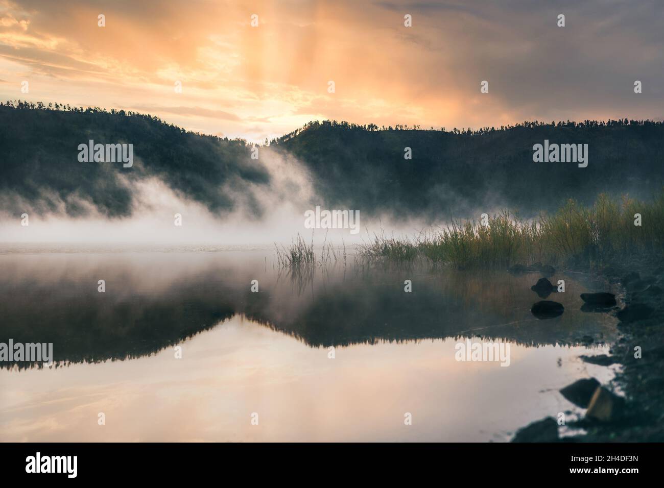 Greer arizona hi-res stock photography and images - Alamy