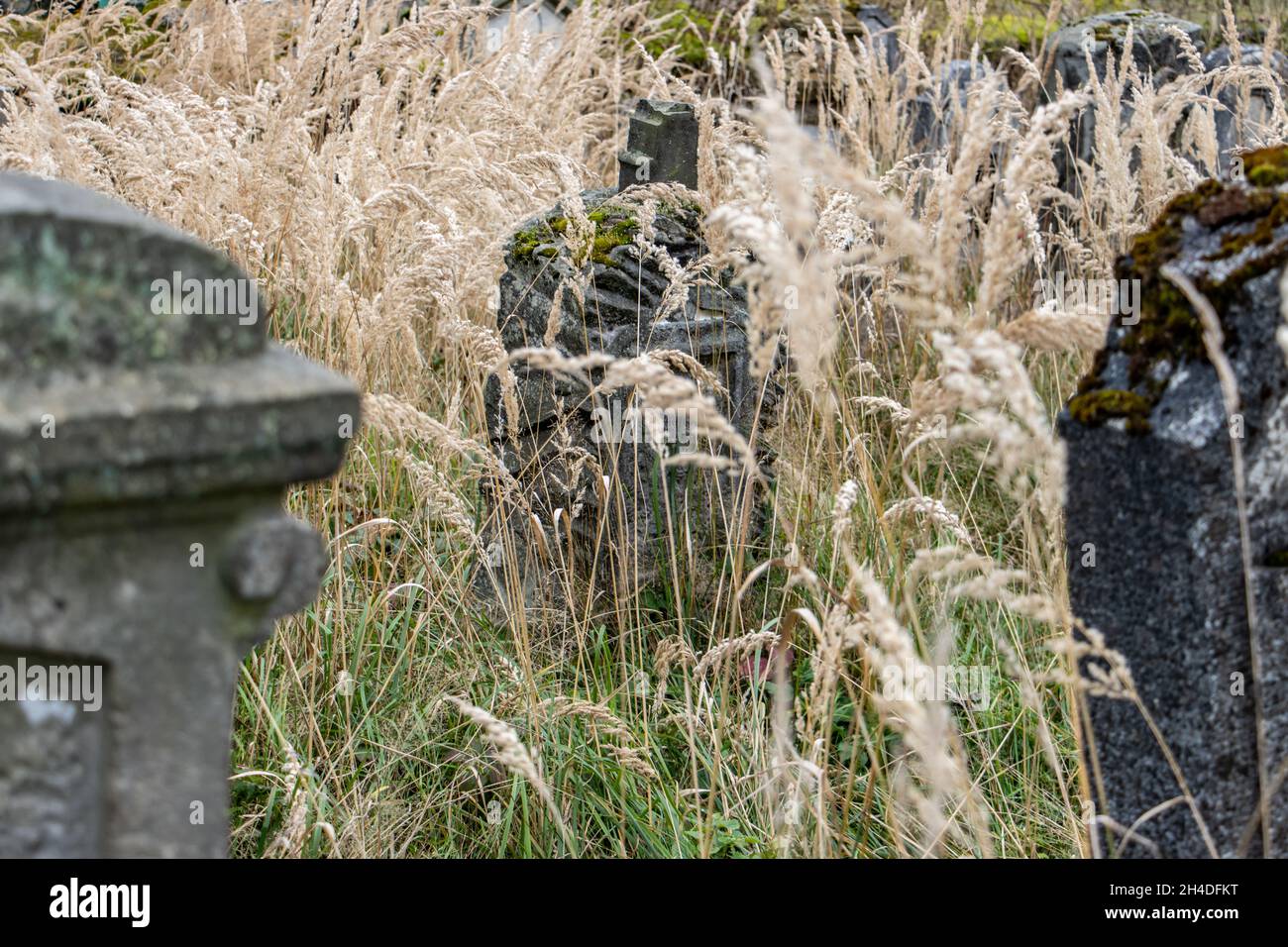 Old tombstones in a rural cemetery overgrown with tall grass Stock ...