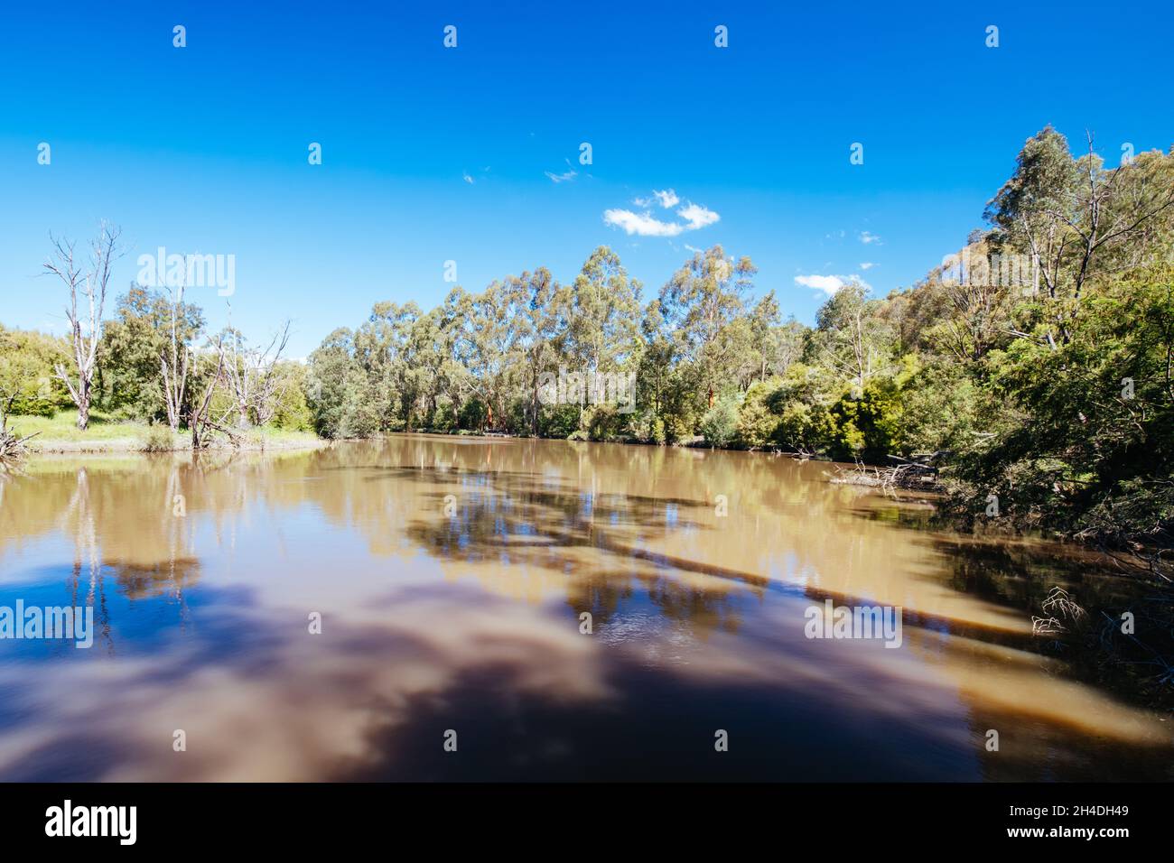Mount Lofty Circuit Walk in Melbourne Australia Stock Photo - Alamy
