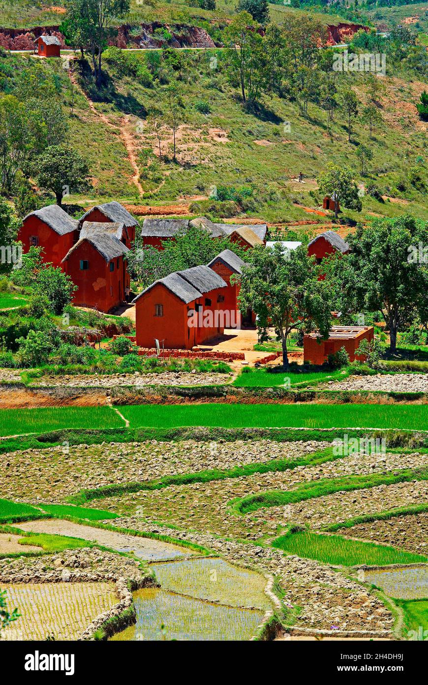 Madagascar. Village en terre rouge des environs de Tananarive ...