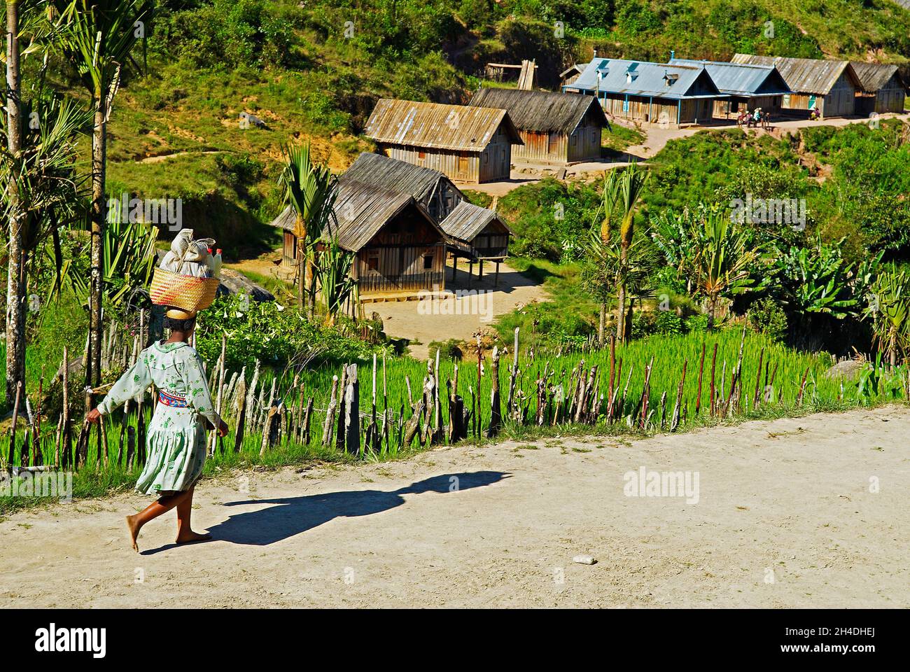 Madagascar. village Zafimaniry de Sakaivu. // Madagascar. Sakaivu is a ...