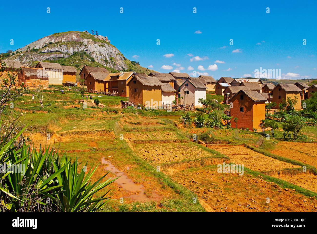 Madagascar. Village en terre rouge des environs de Fianarantsoa ...