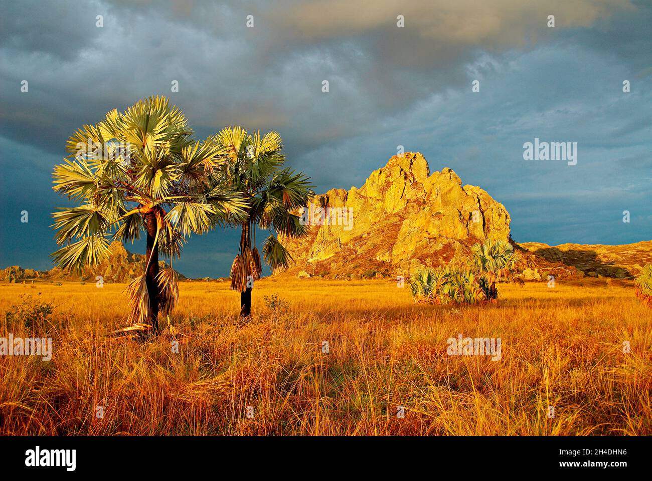 Madagascar. Parc National de l'Isalo. // Madagascar. sandstone massif ...