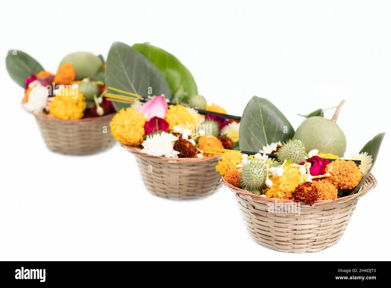 White vat flower hi-res stock photography and images - Alamy