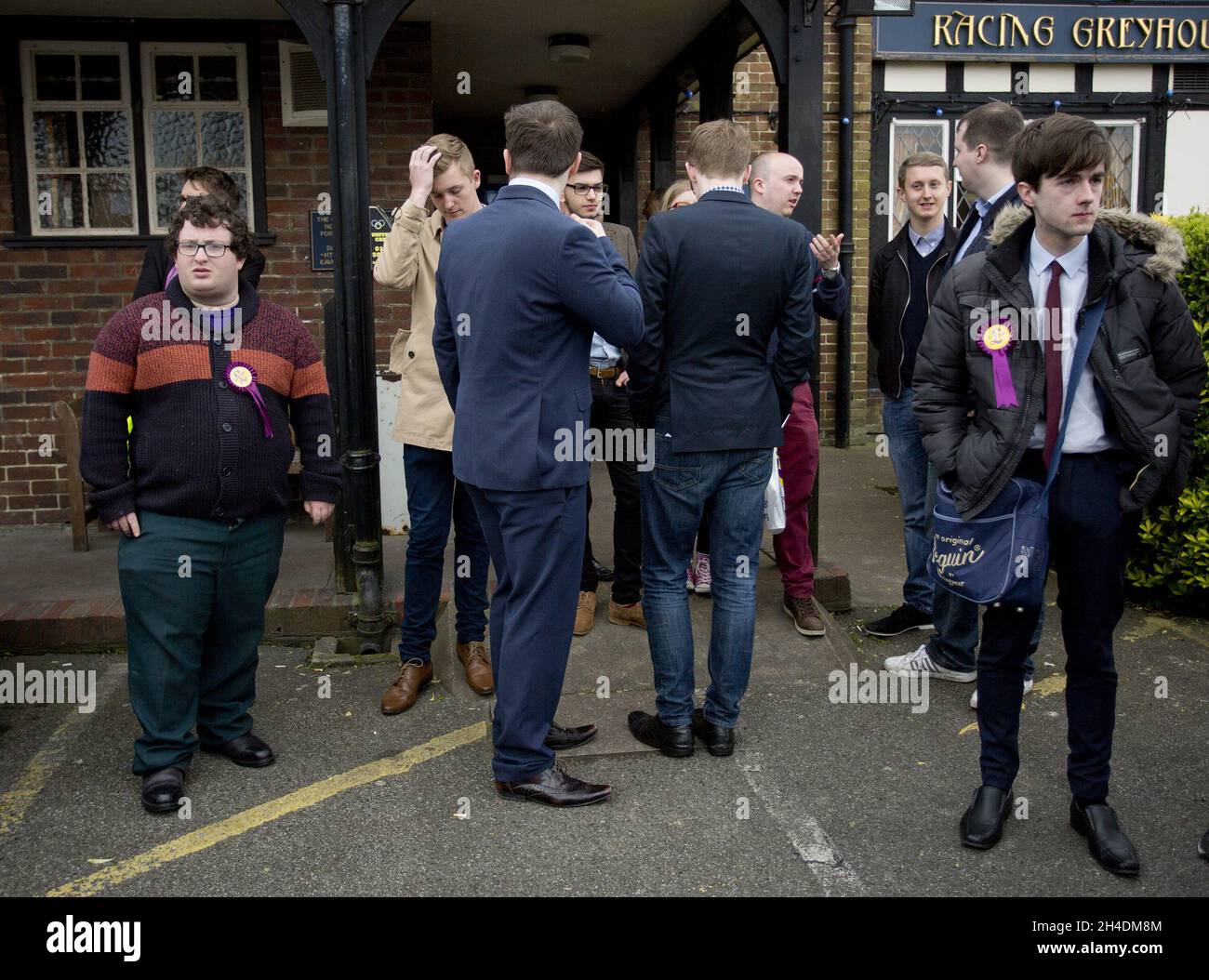 A group of young UKIP supporters gather outside The Racing Greyhound ...