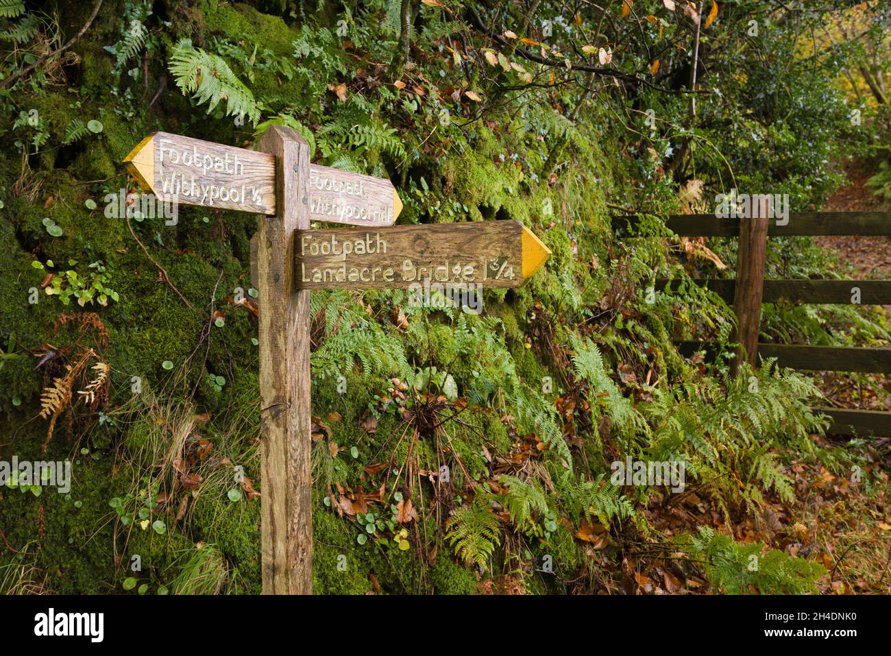 A wooden signpost on the footpath between Landacre Bridge and Withypool ...