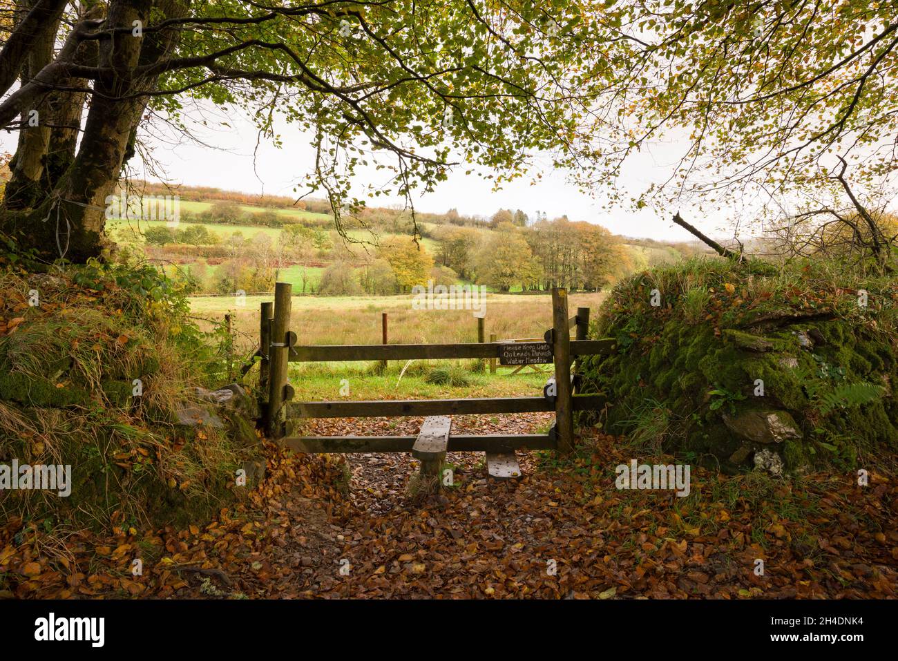 A wooden stile on the footpath between Landacre Bridge and Withypool in ...