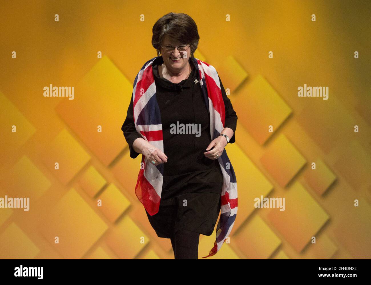 MEP for South East England, Catherine Bearder, wears an Union Jack flag ...