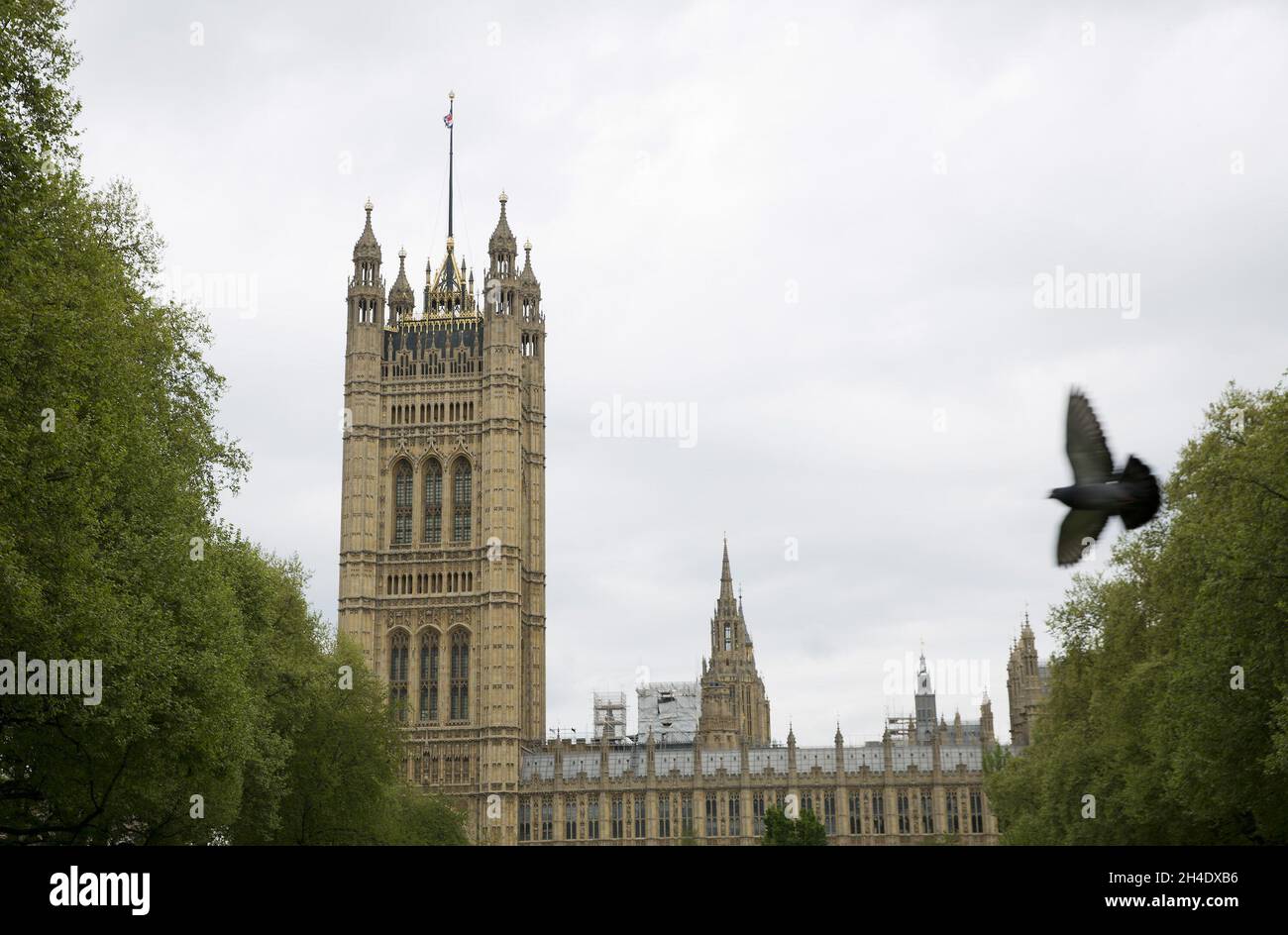 A view of the Victoria Tower, the tallest tower in the Palace of ...