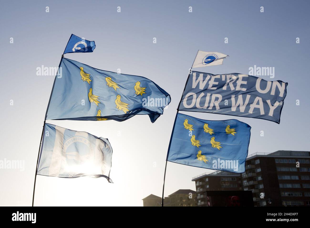 Brighton and Hove Albion's fans wave their flags watch their team on ...