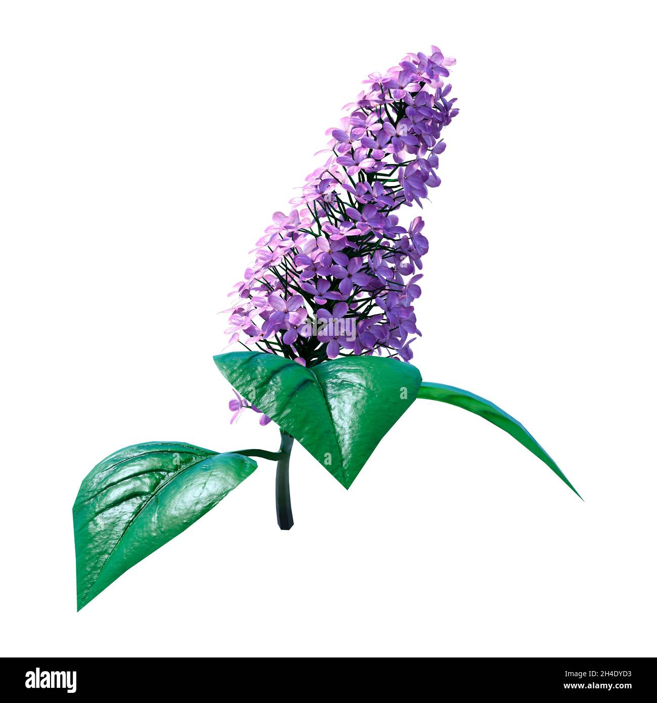 3D rendering of syringa flowers isolated on white background Stock ...