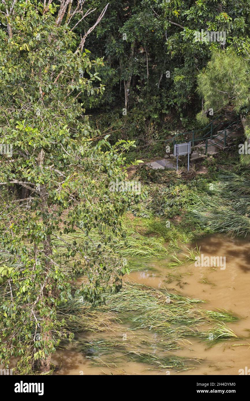 Flooded rainforest path hi-res stock photography and images - Alamy
