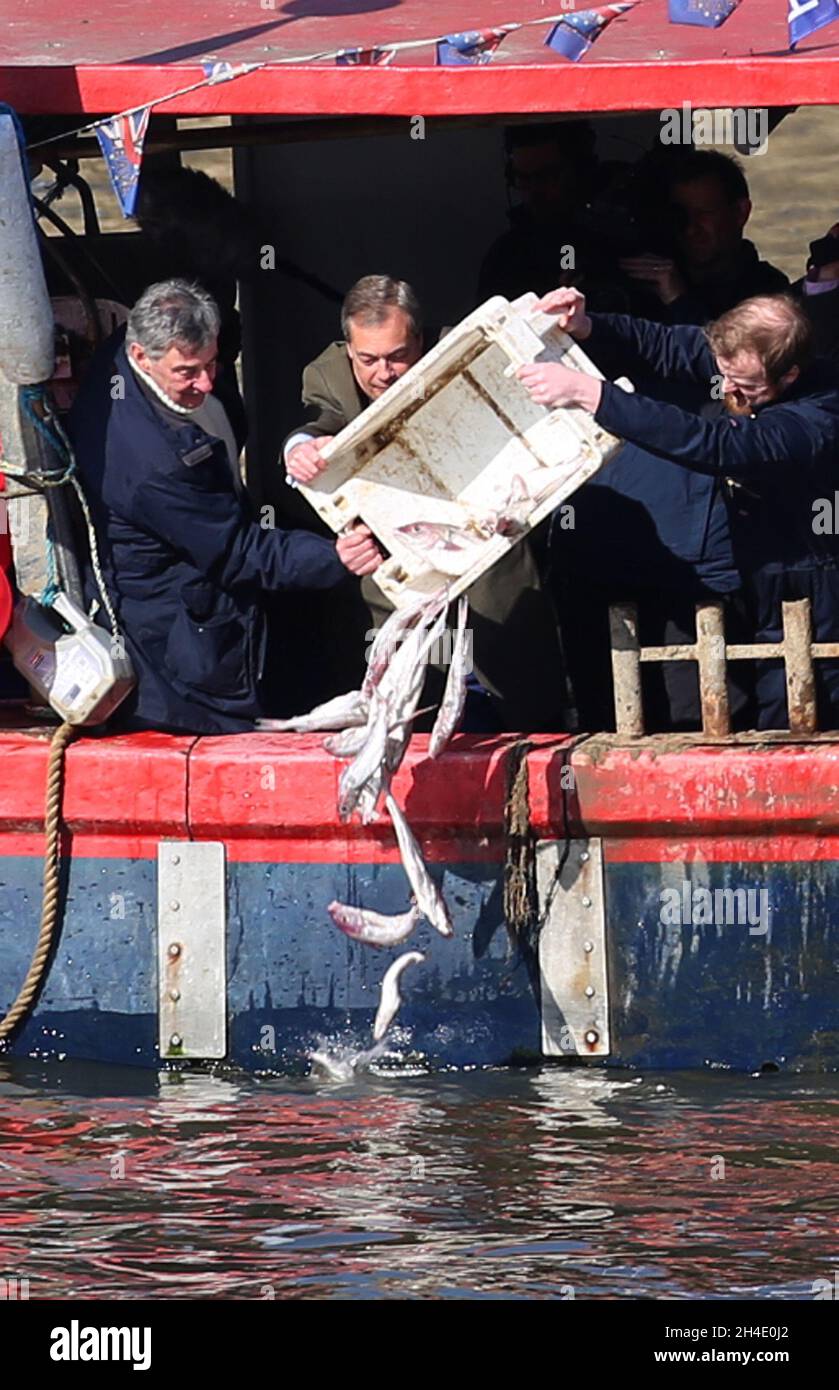 Nigel farage fish hi-res stock photography and images - Alamy