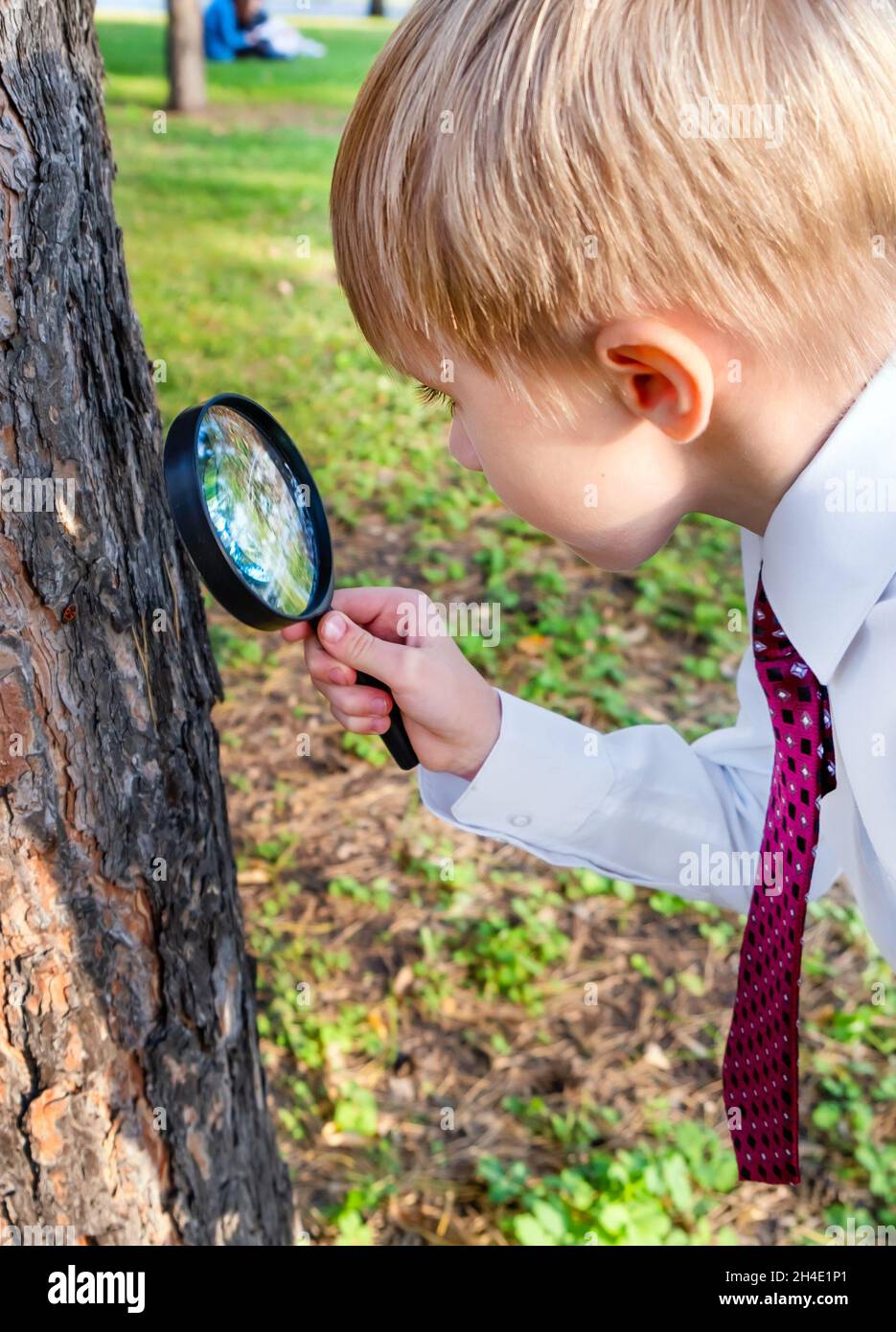 Magnifying glass insect child hi-res stock photography and images - Alamy