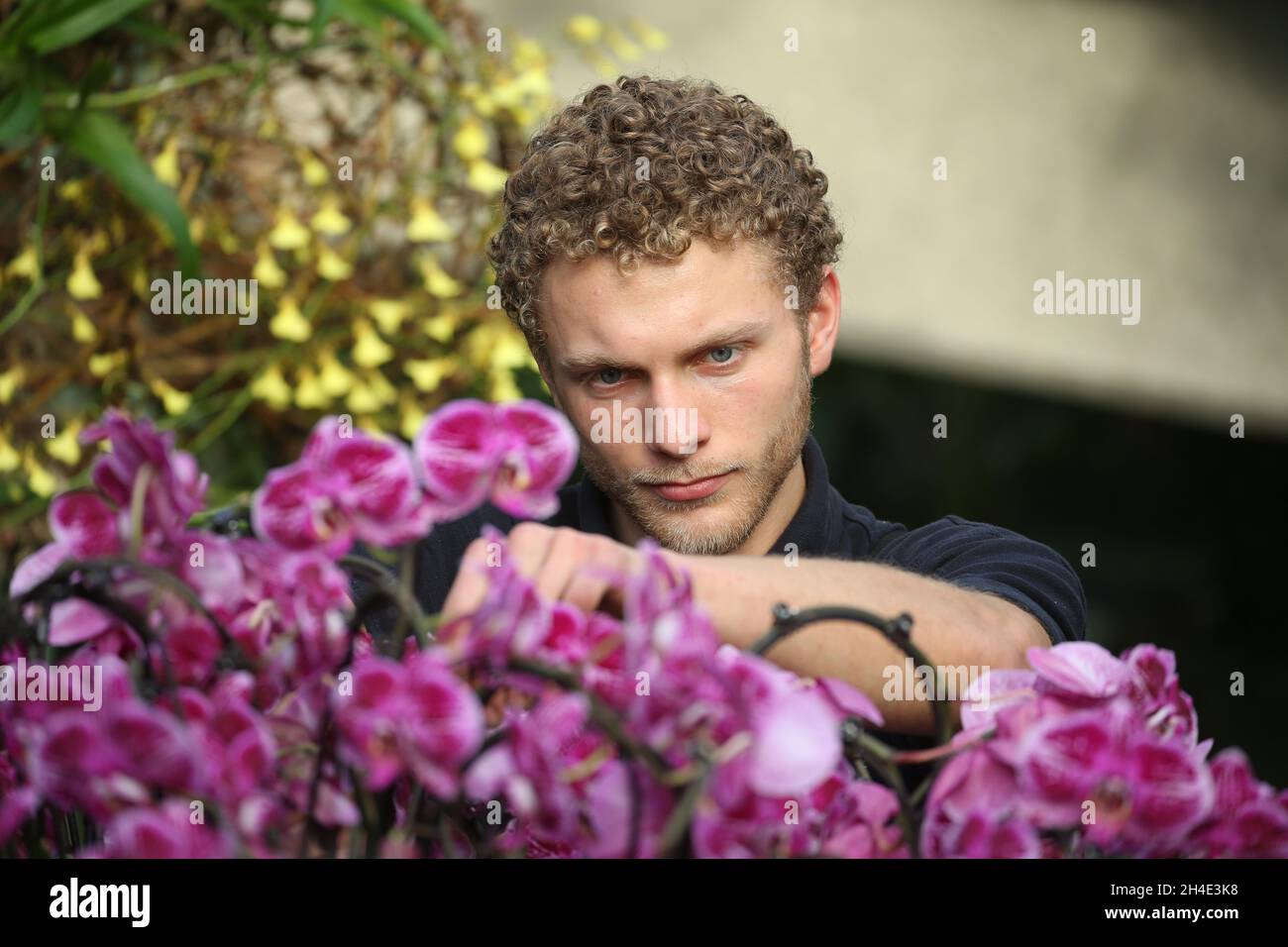 Michael antonetti hi-res stock photography and images - Alamy