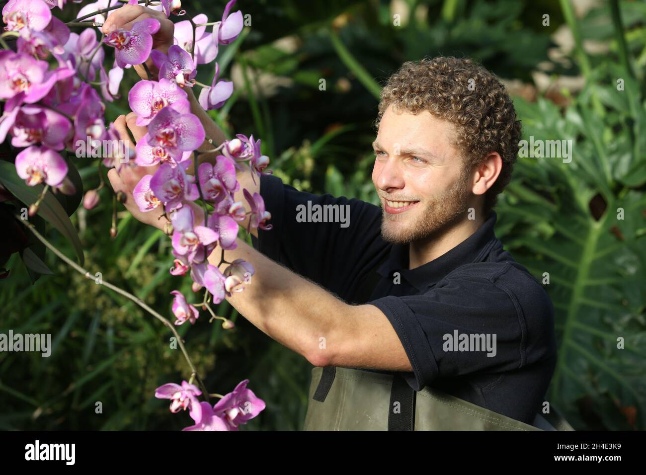 Horticulturist Michael Antonetti makes some final adjustments during a ...