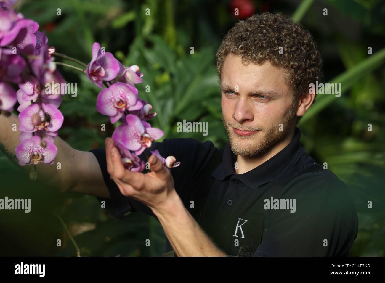 Horticulturist Michael Antonetti makes some final adjustments during a ...