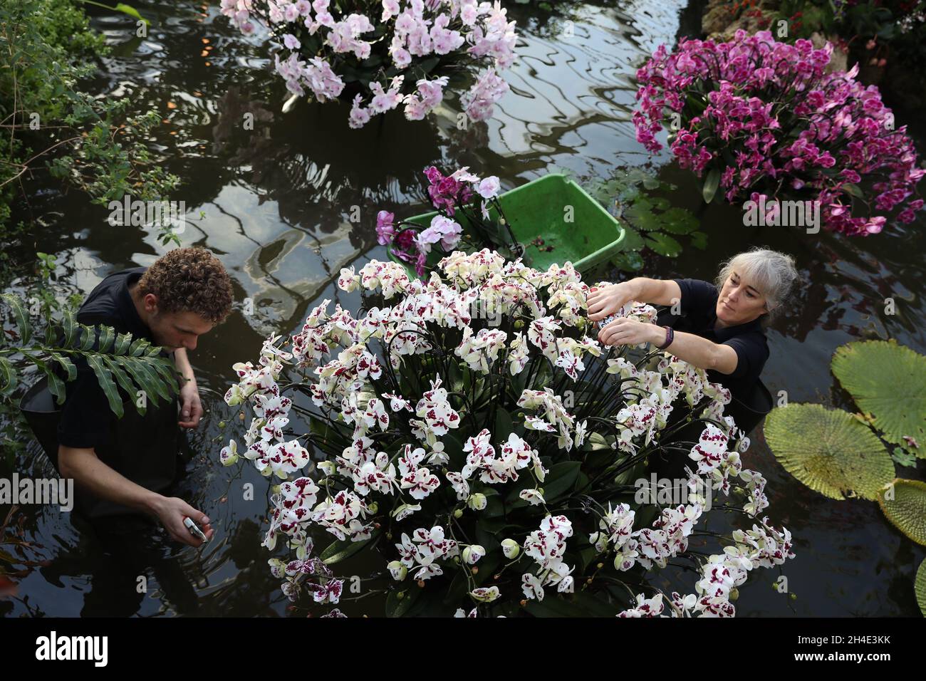 Horticulturists Michael Antonetti and Sal Demain make some final ...