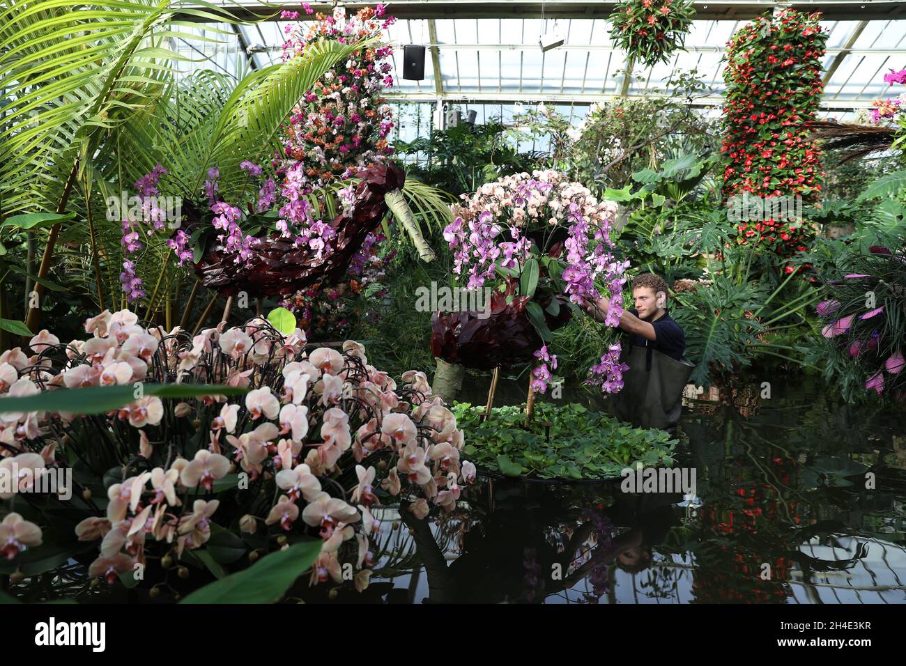 Horticulturist Michael Antonetti makes some final adjustments during a ...