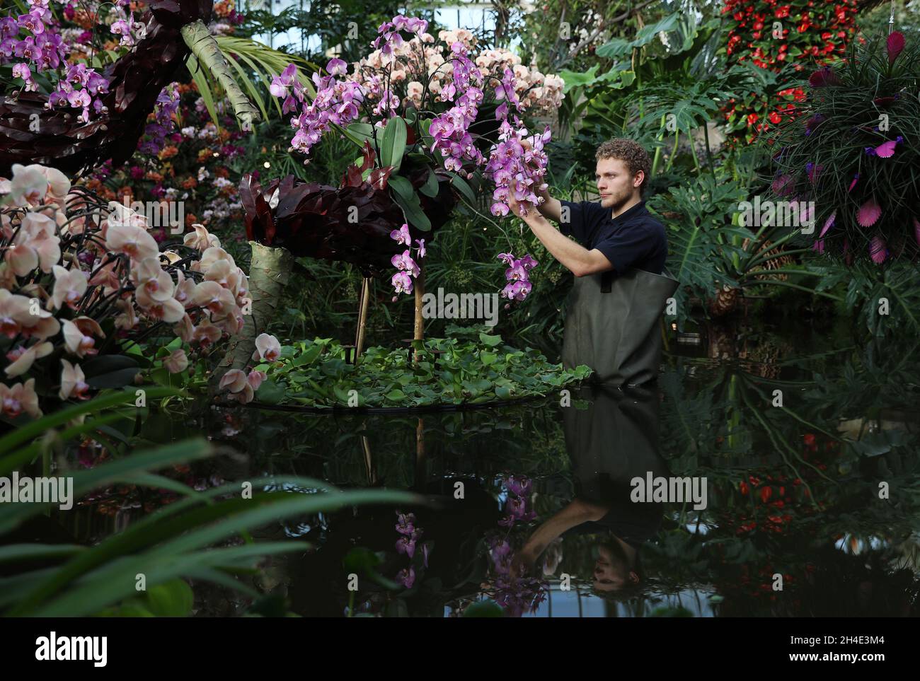Horticulturist Michael Antonetti makes some final adjustments during a ...