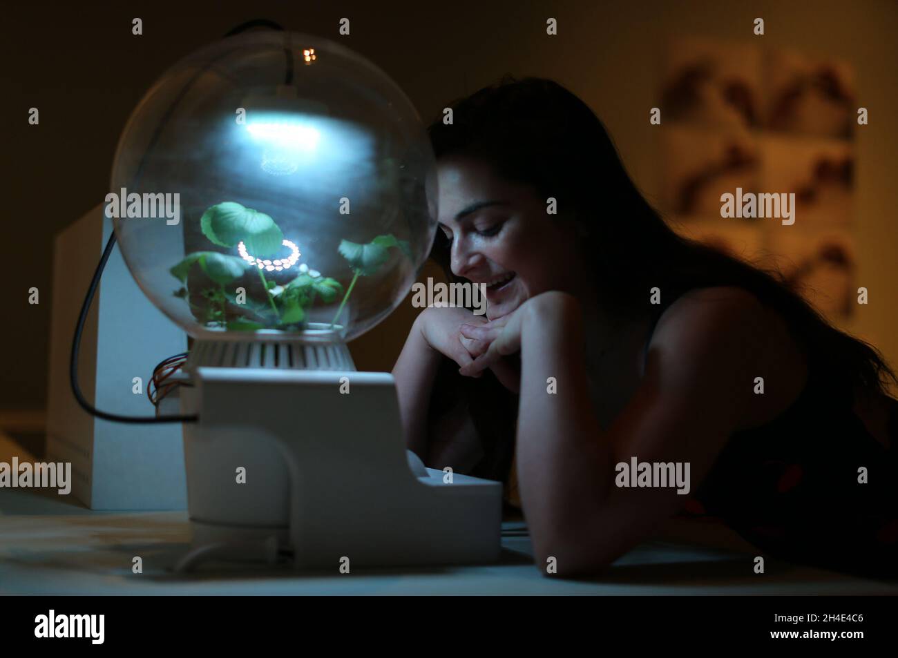A museum assistant talks to a tomato plant through a personal food ...
