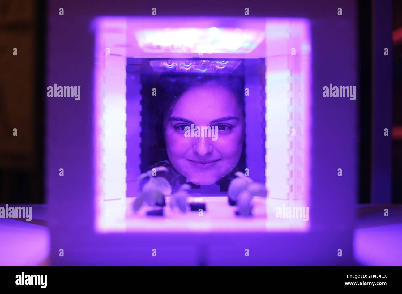 A museum assistant looks at little plants in a 'specialized growing ...