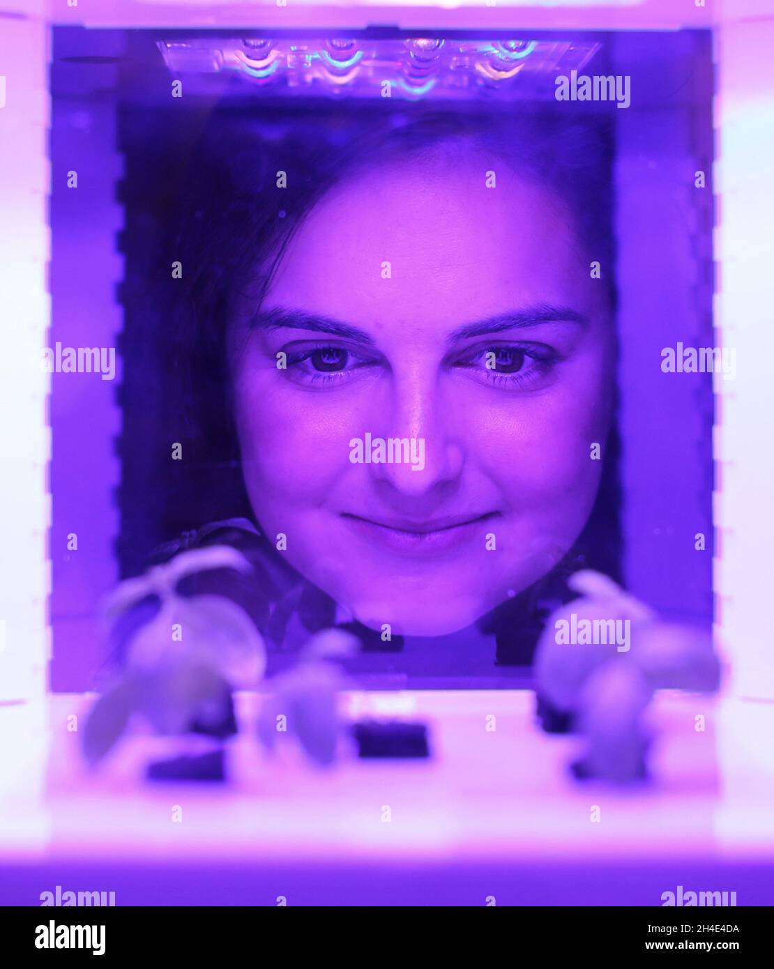 A museum assistant looks at little plants in a 'specialized growing ...