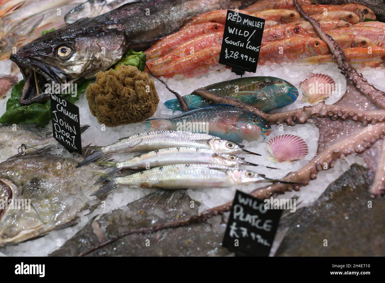 Fishmonger counter hi-res stock photography and images - Alamy