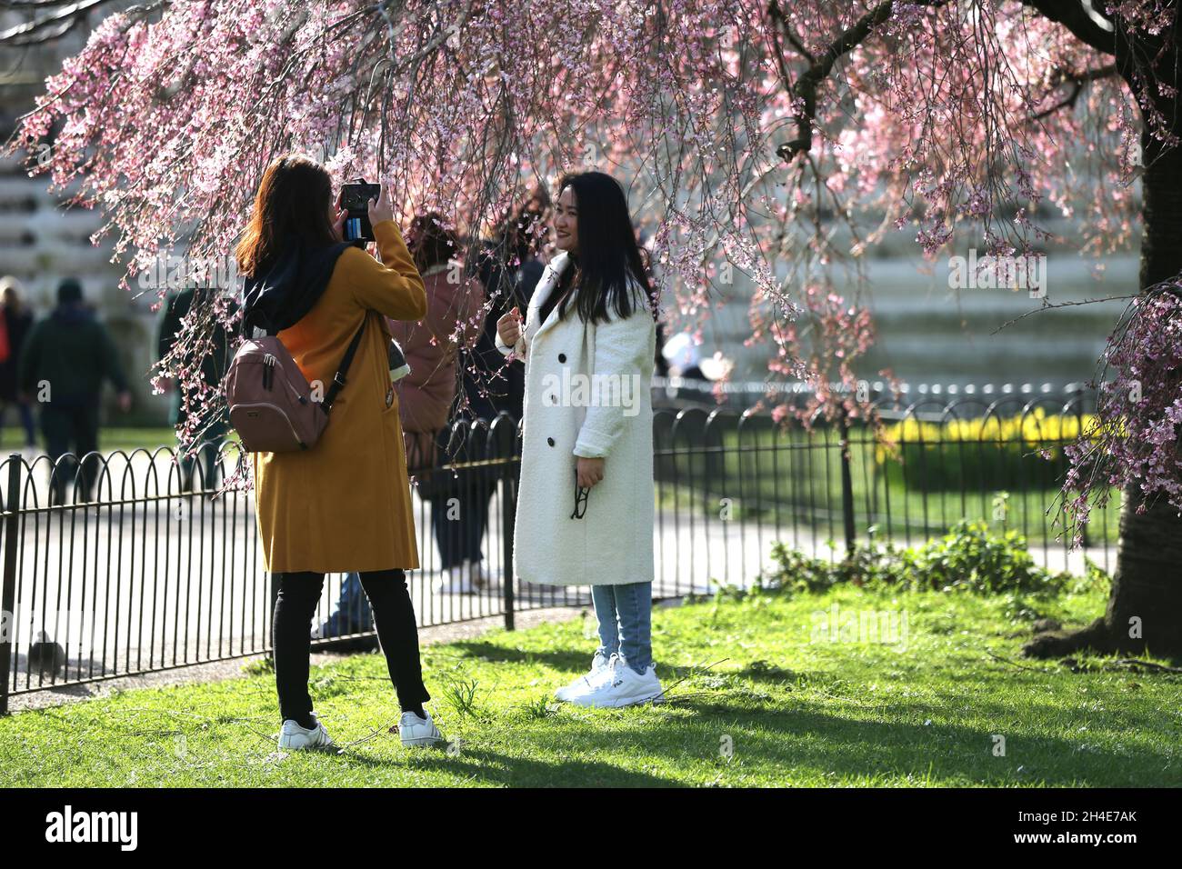 People enjoy the spring weather in St James Park, London. Issue date ...