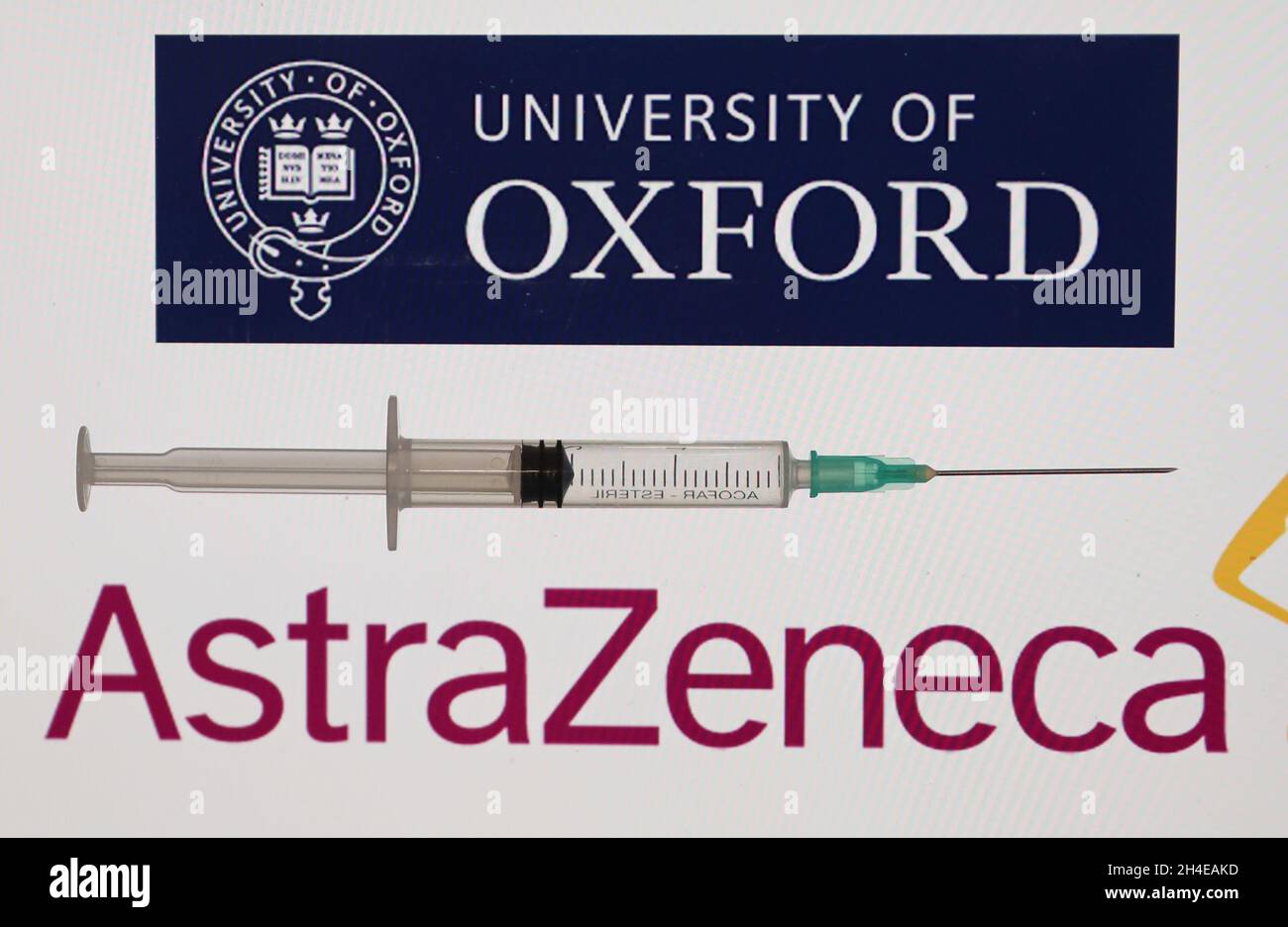 An illustration picture shows a medical syringe seen in front of ...