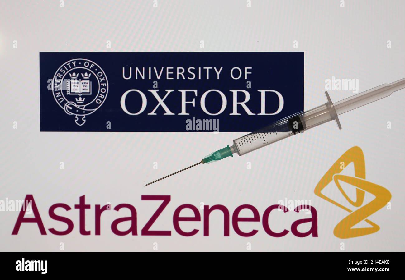 An illustration picture shows a medical syringe seen in front of ...