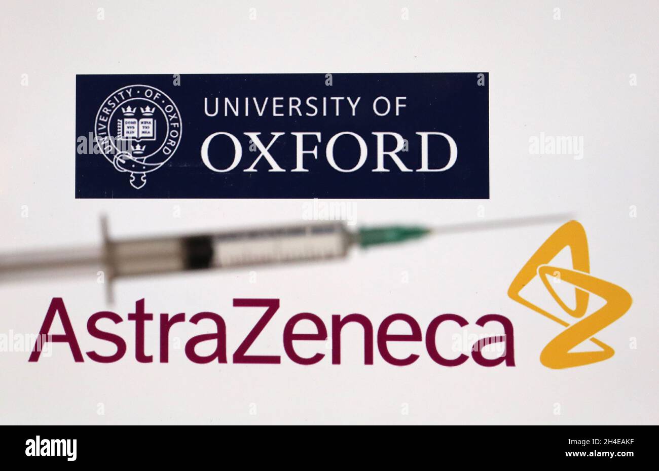 An illustration picture shows a medical syringe seen in front of ...