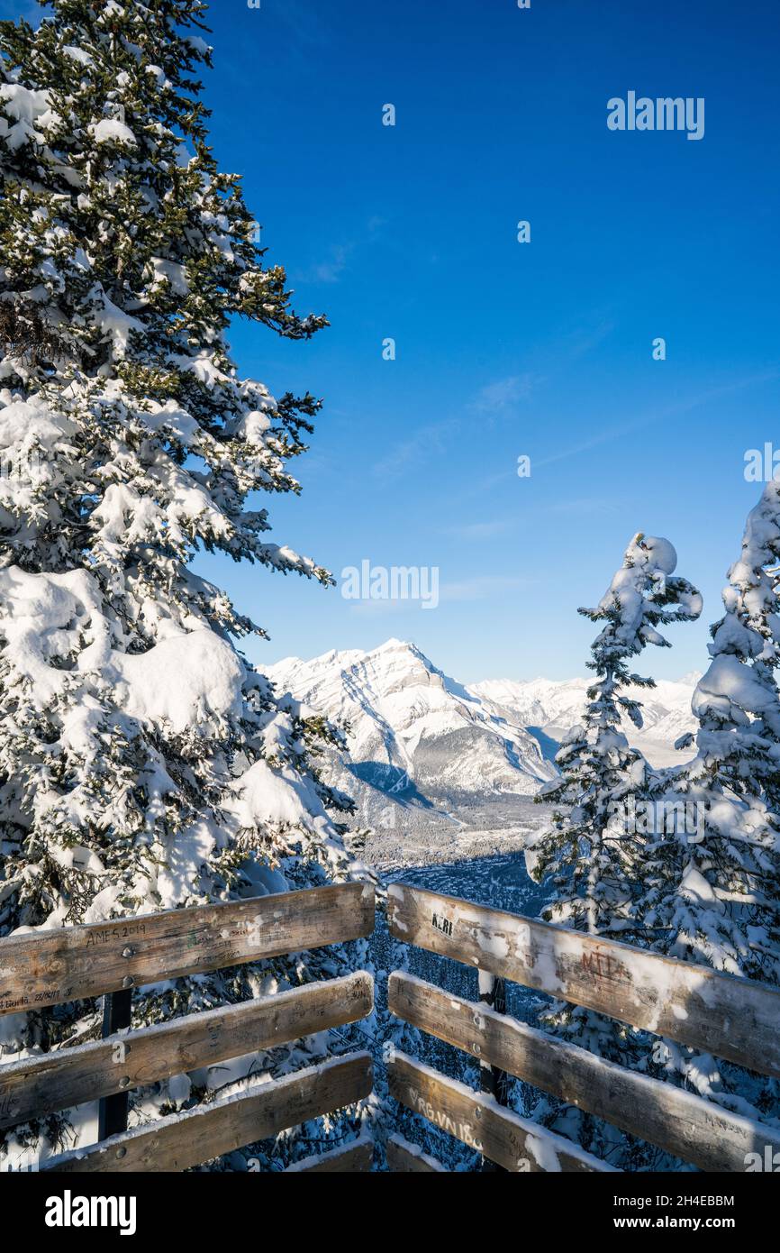 Chilling view of snow-capped mountains and trees under a clear blue sky ...