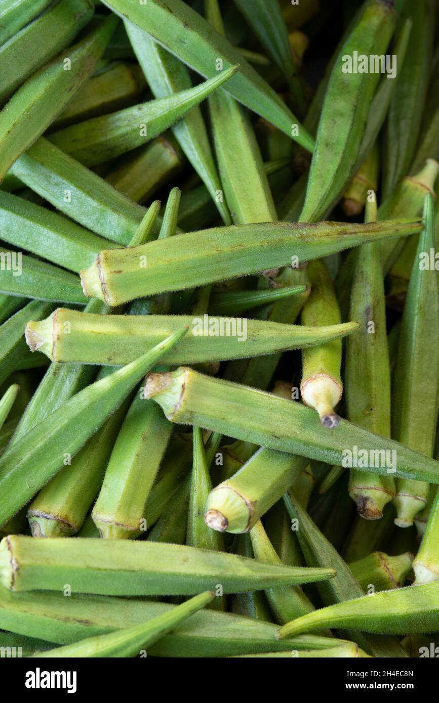 Group okra hi-res stock photography and images - Alamy