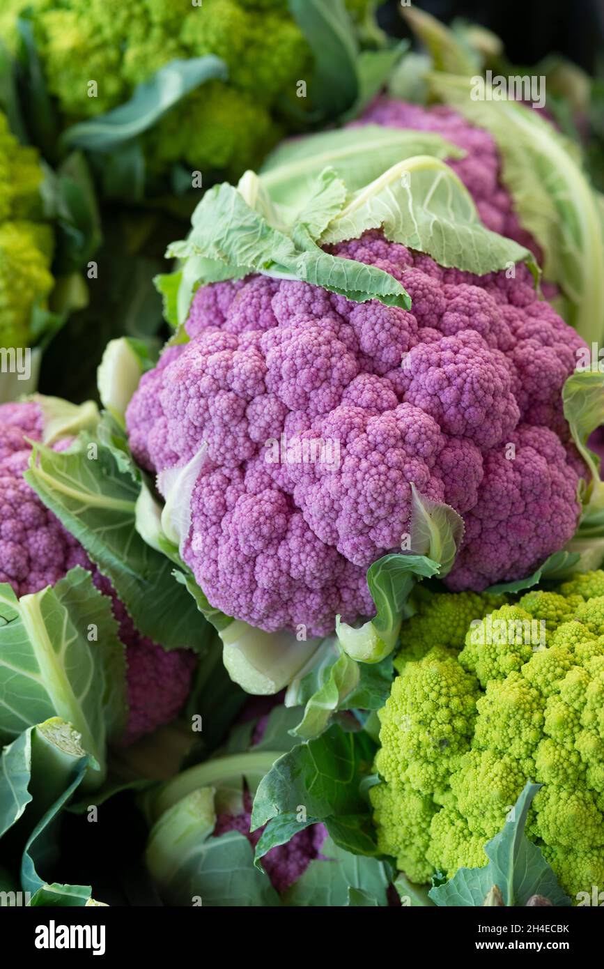 Raw caulis flower hi-res stock photography and images - Alamy