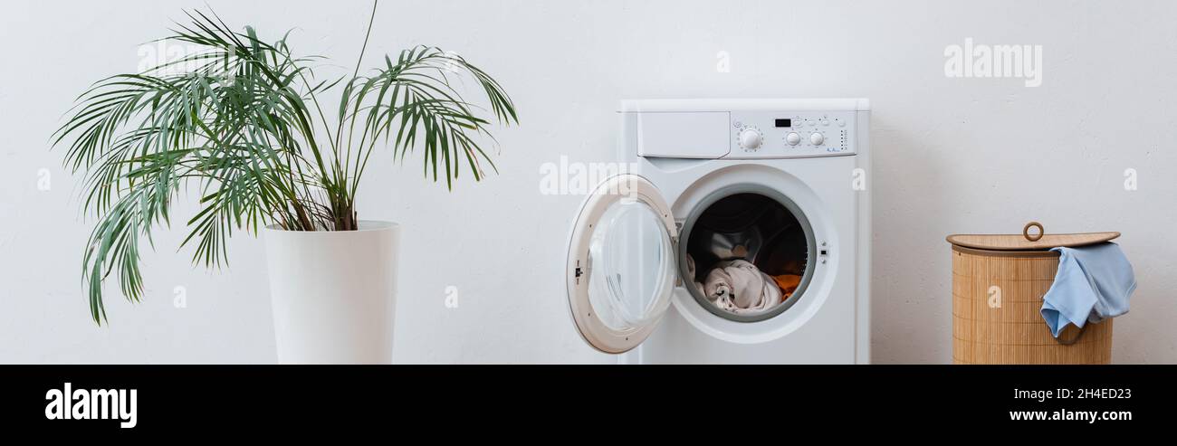 green plant, washing machine and laundry basket near white wall, banner ...