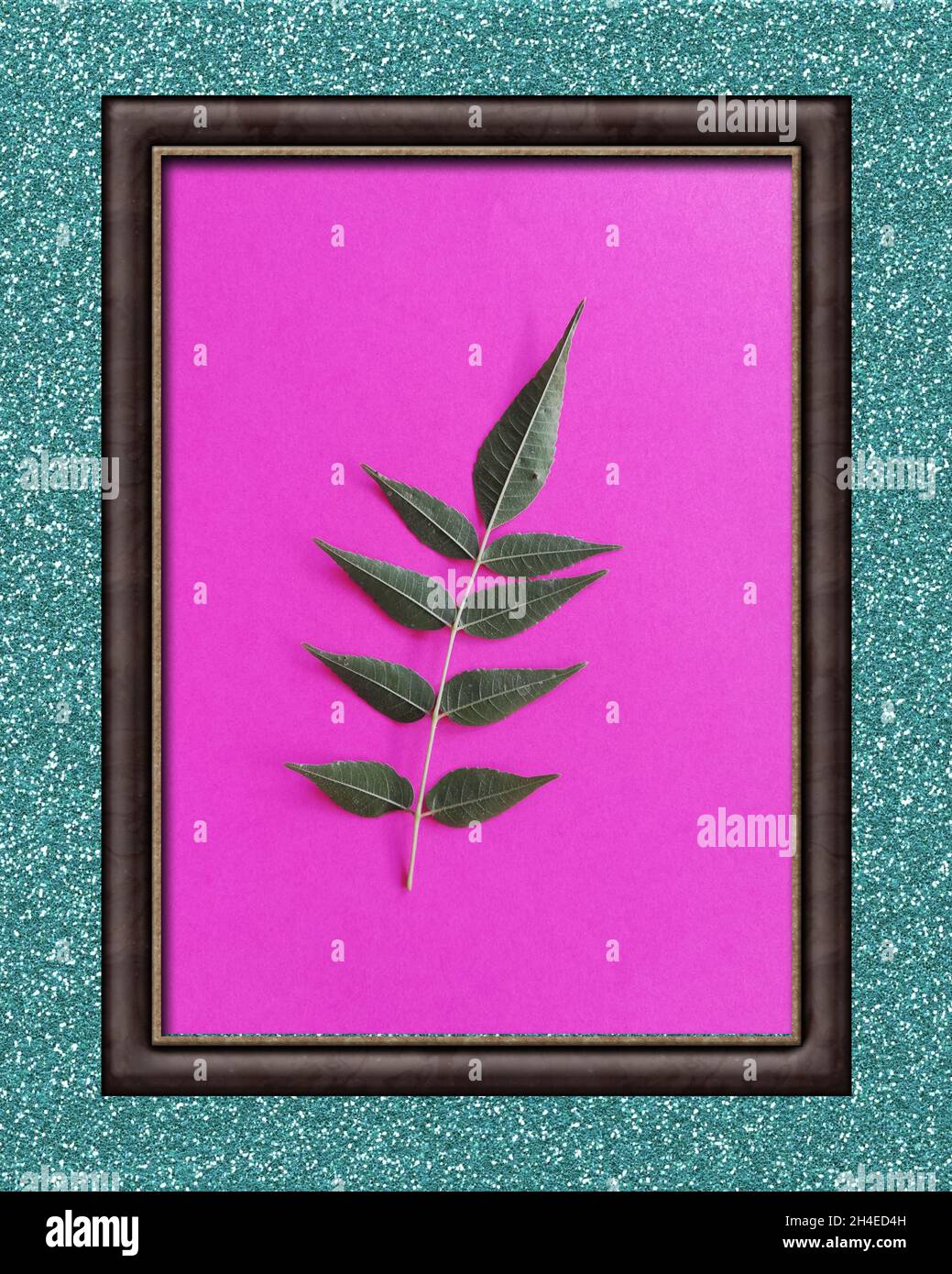 leaf collection with photo frame, frame background Stock Photo - Alamy