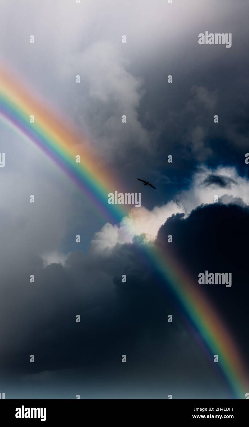 Fascinating view of a rainbow at the seafront, Worthing, West Sussex ...