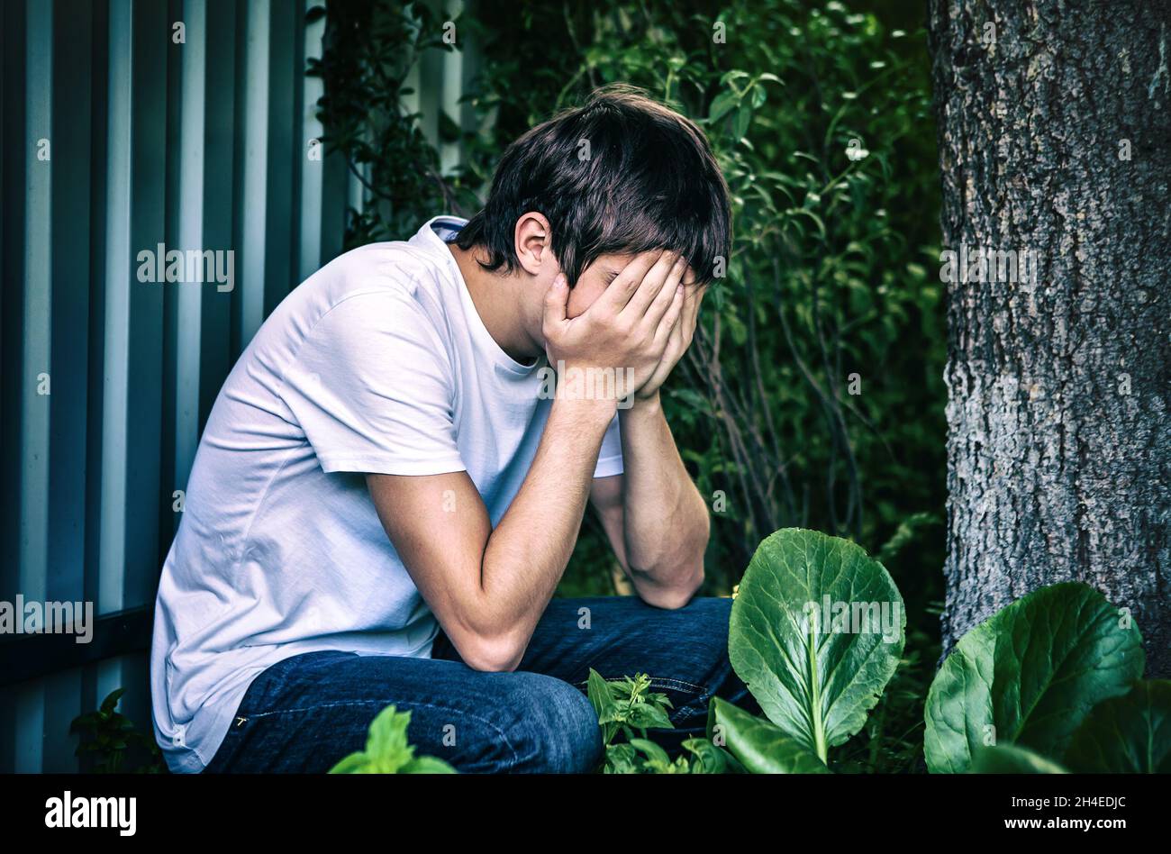 Toned Photo of Sorrowful Young Man sit outdoor Stock Photo - Alamy