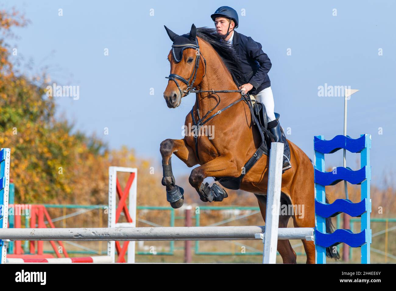 Young sportsman riding the sorrel horse jumping over an obstacle on ...