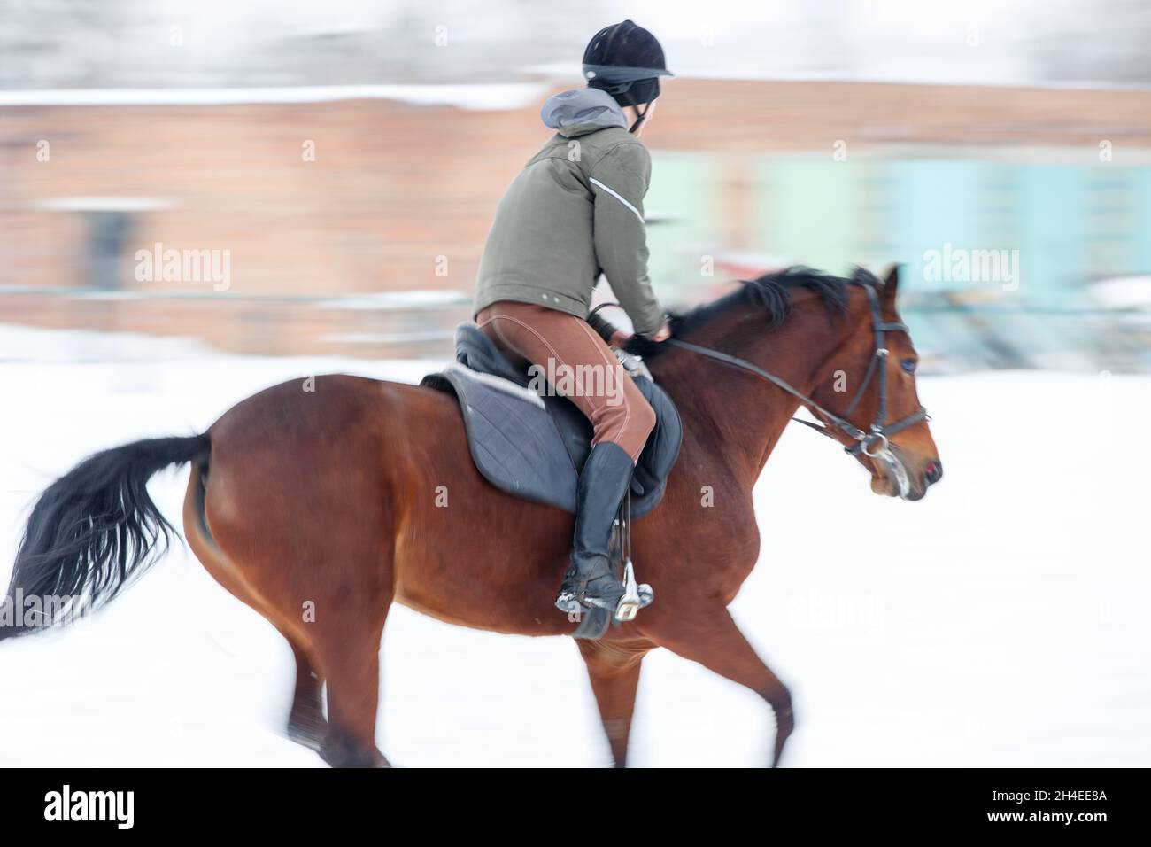Young horse rider training on the field in winter Stock Photo - Alamy