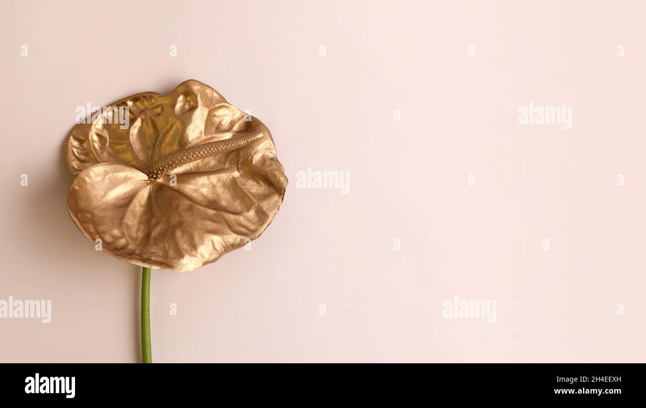 Beautiful Anthurium painted in golden color on the beige background ...